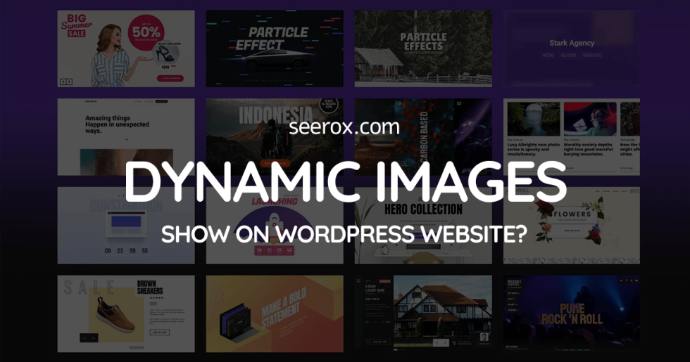 How to show dynamic images? - Seerox